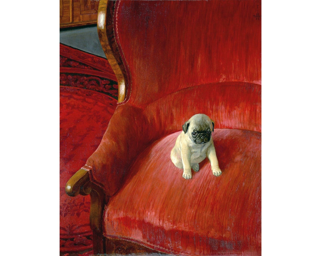 Dog on a Red Chair | Siegfried | Animal Wall Art | German Artist ...
