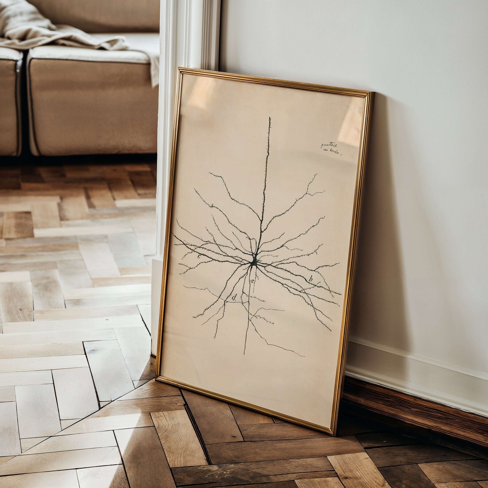 Vintage Neuron Drawing | Santiago Ramón Y Cajal | Light Academia ...