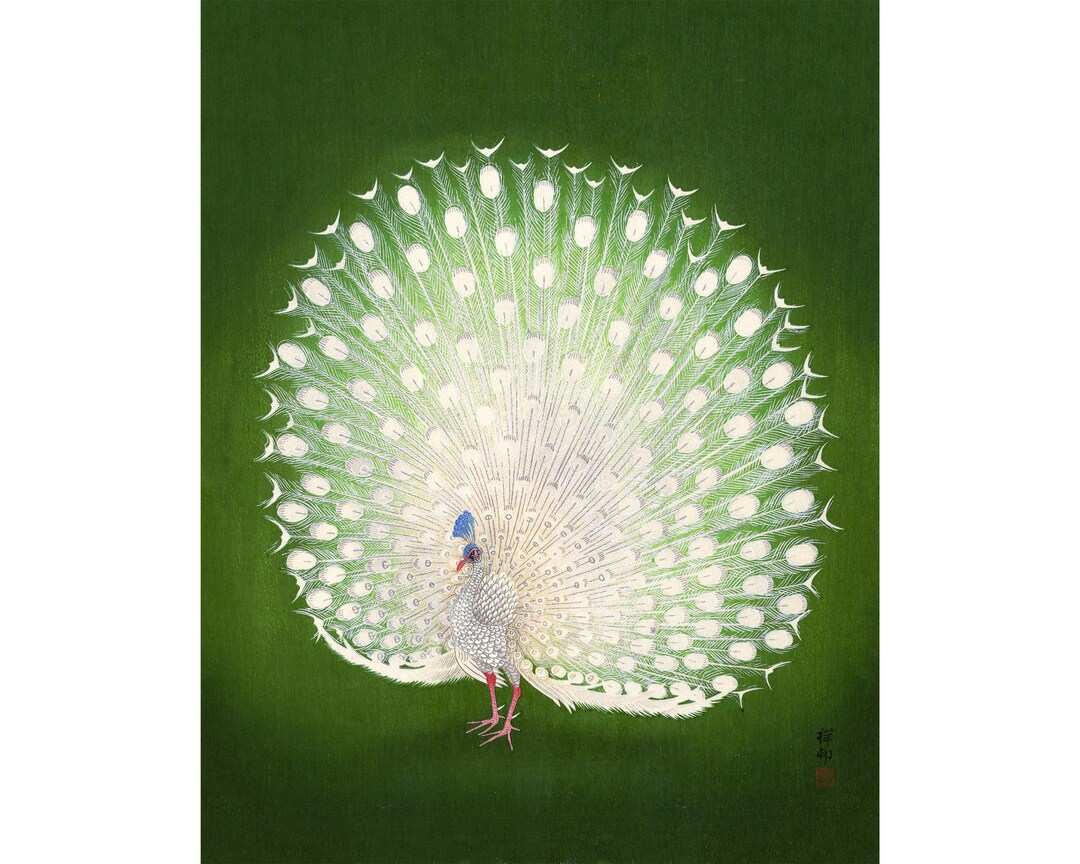 Vintage Peacock Giclée Print by Ohara Koson: Japanese Animal Art - Etsy