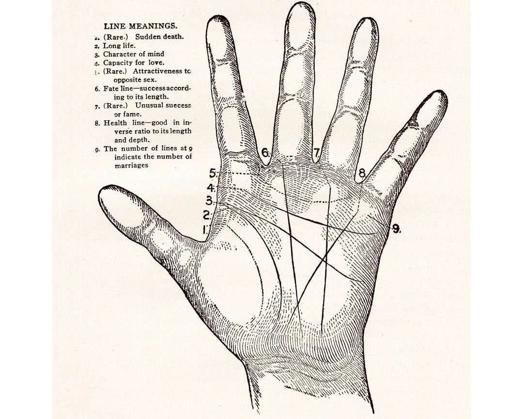 Vintage Palmistry Art | Character Lines of the Hand | Palm Reading ...