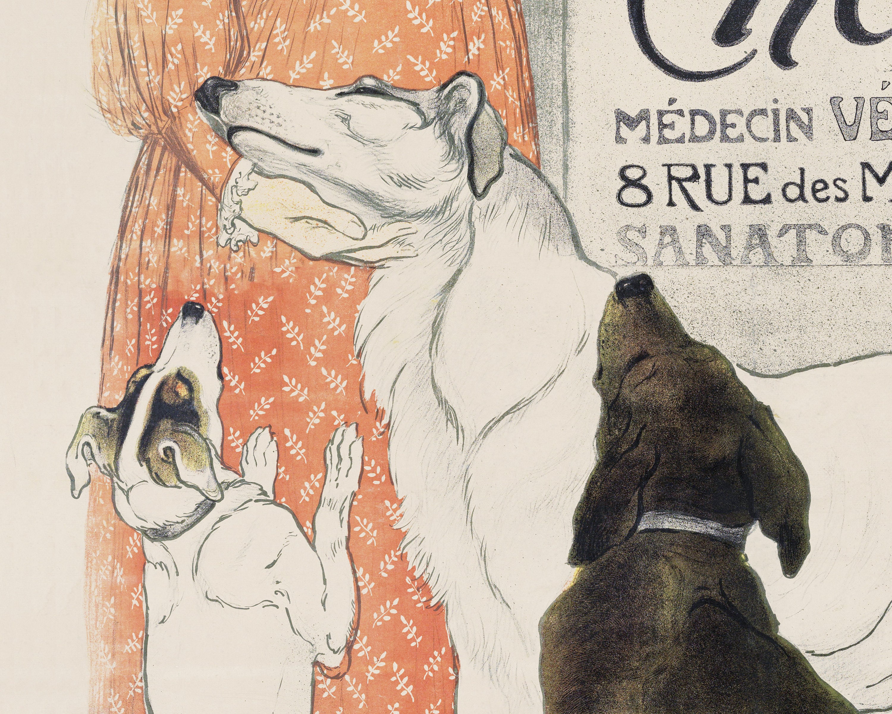 French Vintage Vet Ad Giclée Fine Art Print Clinique - Etsy