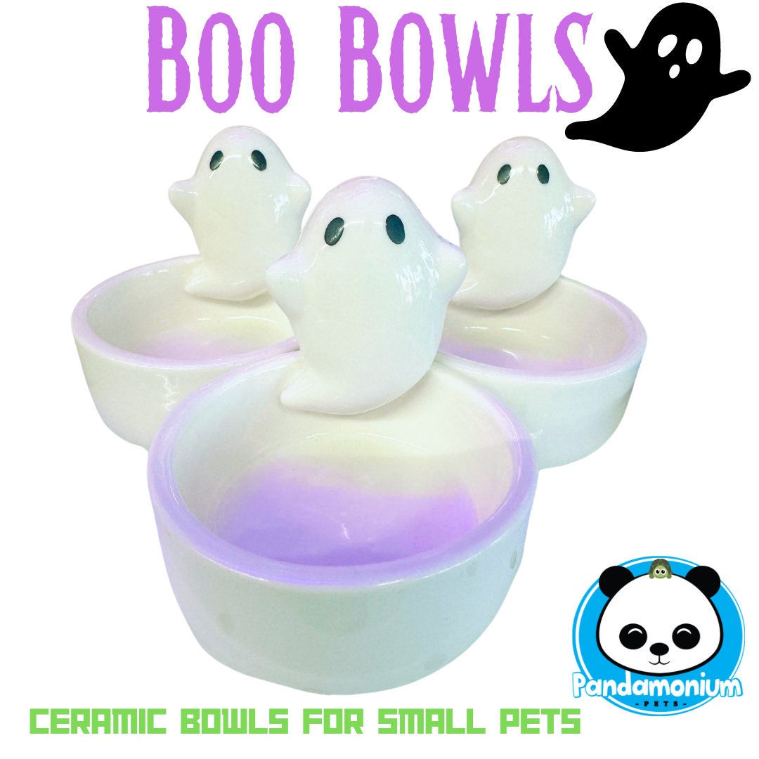 Boo Bowls-small Ceramic Dishes for Small Pets! - Etsy