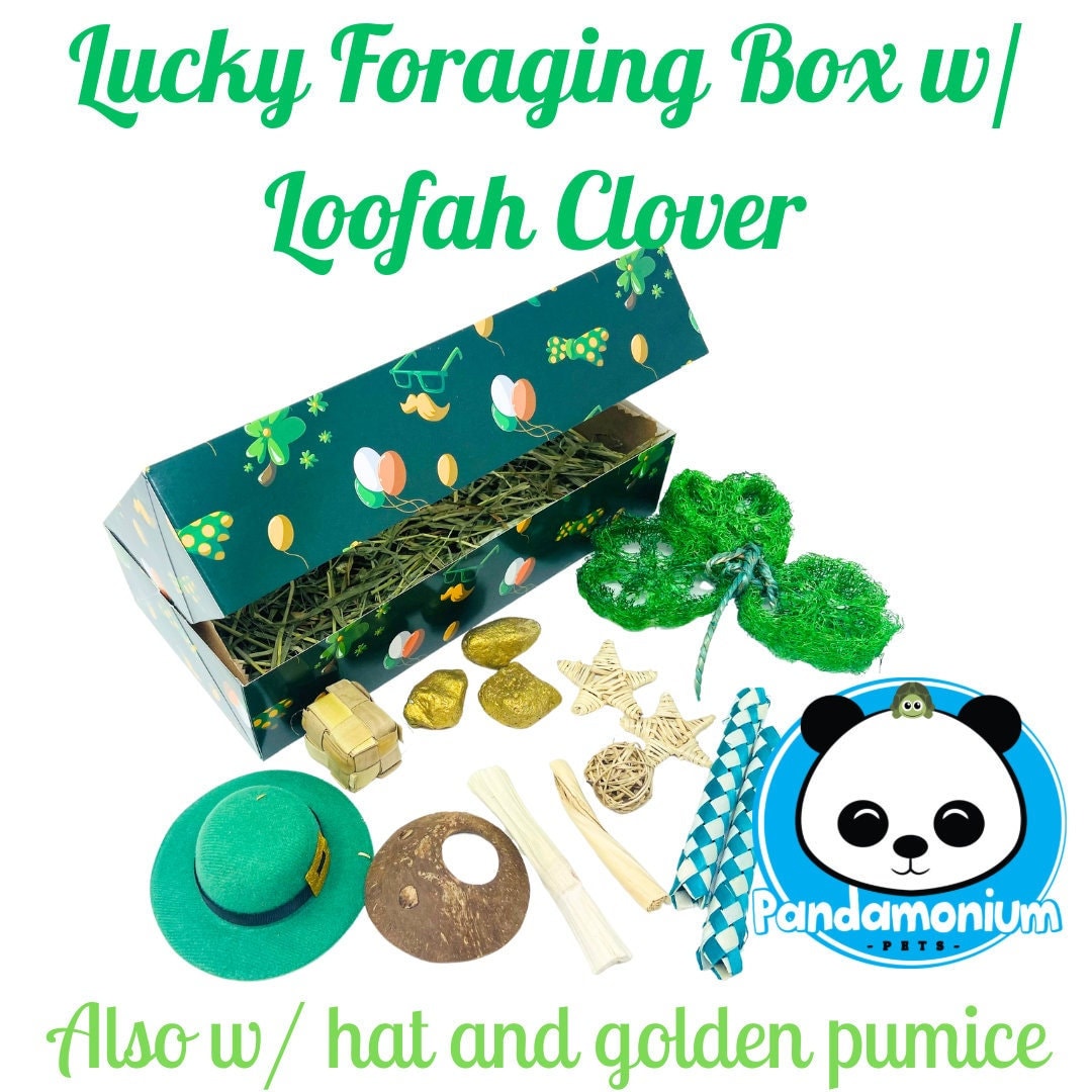 Lucky Foraging Chew Box With Loofah Clover, Hat and Golden Pumice-great ...