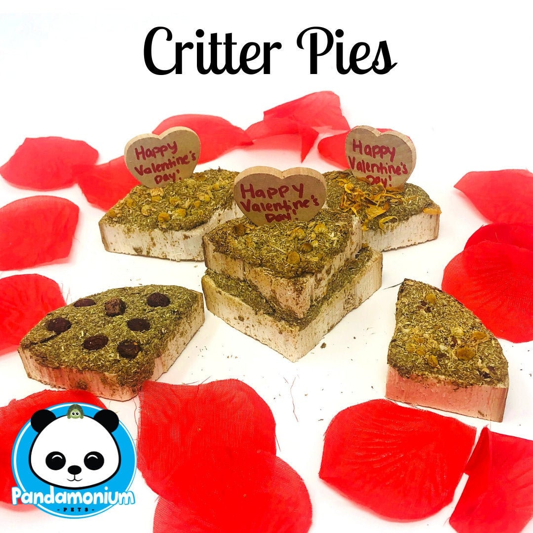 Critter Pies-customizable for Any Occasion-chinchillas, Degus, Rats ...