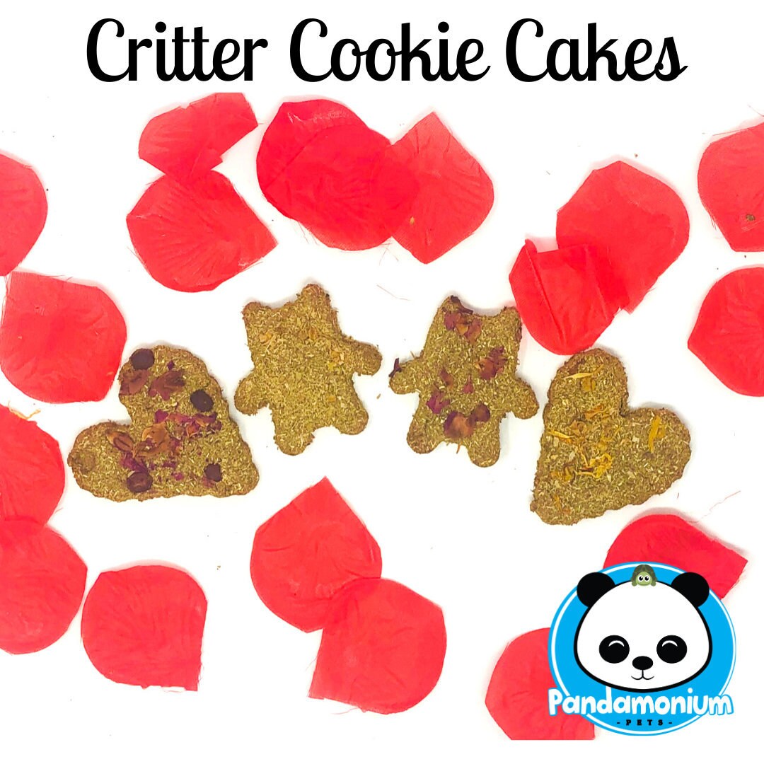 Critter Cookie Cakes-chinchillas, Degus, Rats, Rabbits and Guinea Pigs ...