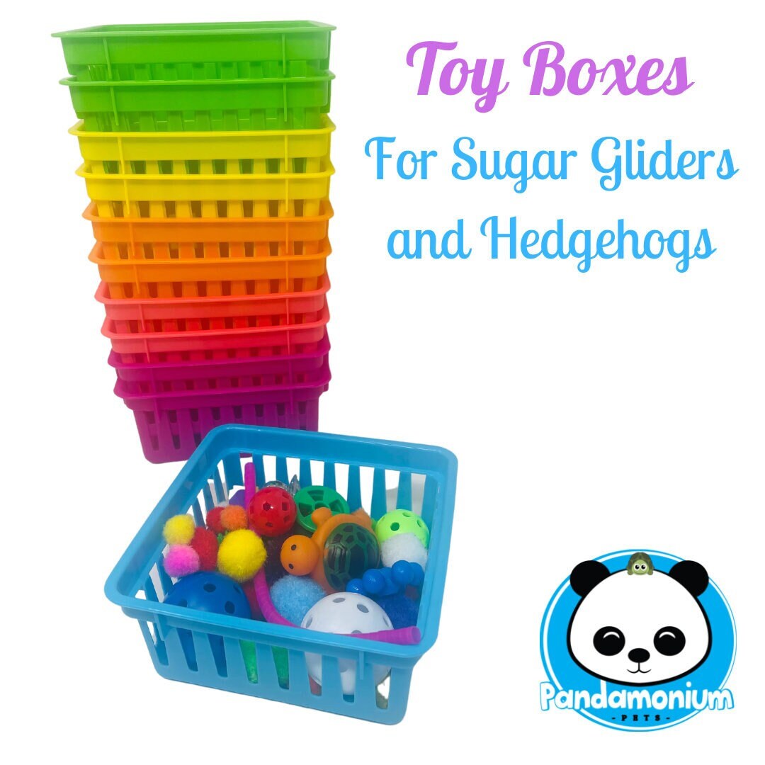 Toy Boxes- Sugar Glider Toys, Hedgehog Toys - Etsy
