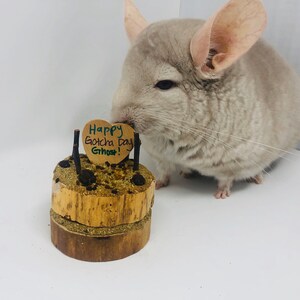 Critter Birthday or Gotcha Day Cakes- Also Customizable for Any ...