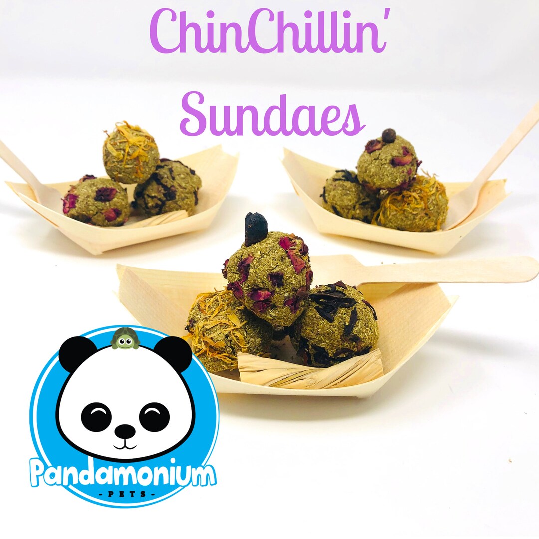 Chinchillin' Sundaes - Etsy