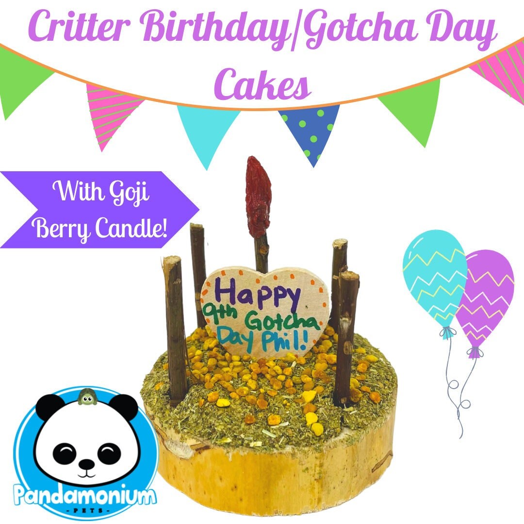 Critter Birthday/gotcha Day Cakes W/ Goji Berry Candle- Also ...