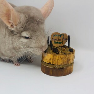 Critter Birthday or Gotcha Day Cakes- Also Customizable for Any ...