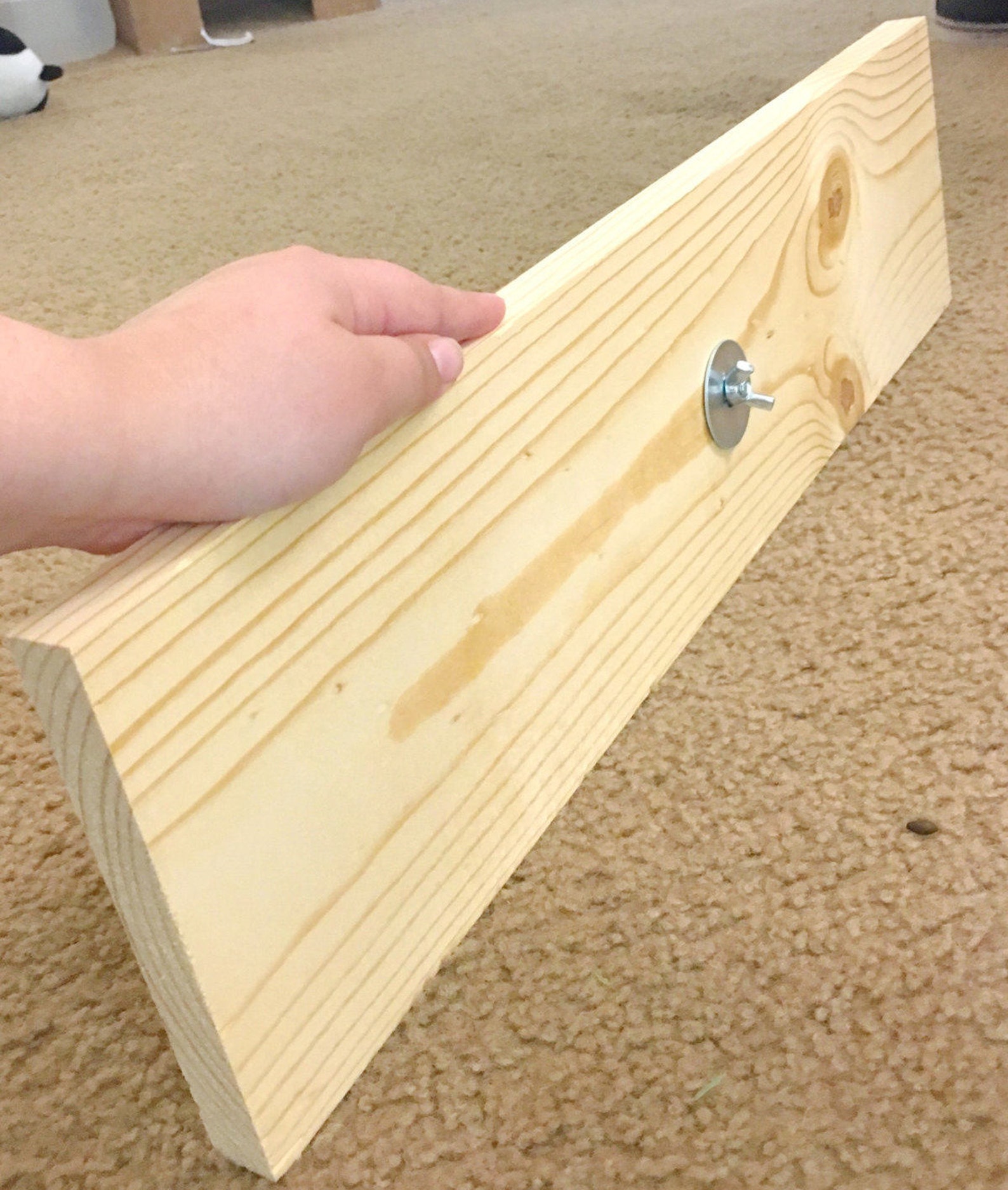 Original Full/single Sets of Cage Guards / Poop Guards - Etsy