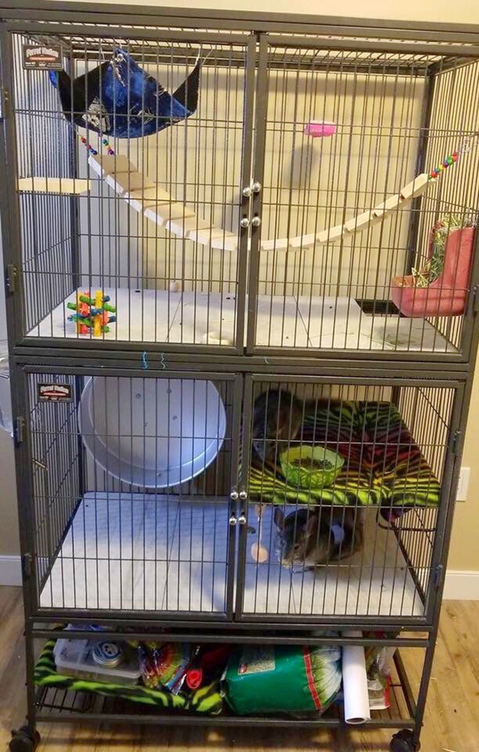 Rainbow XTRA Soundless Spinner Xtremely LIGHT Pandamonium Pets Original ...