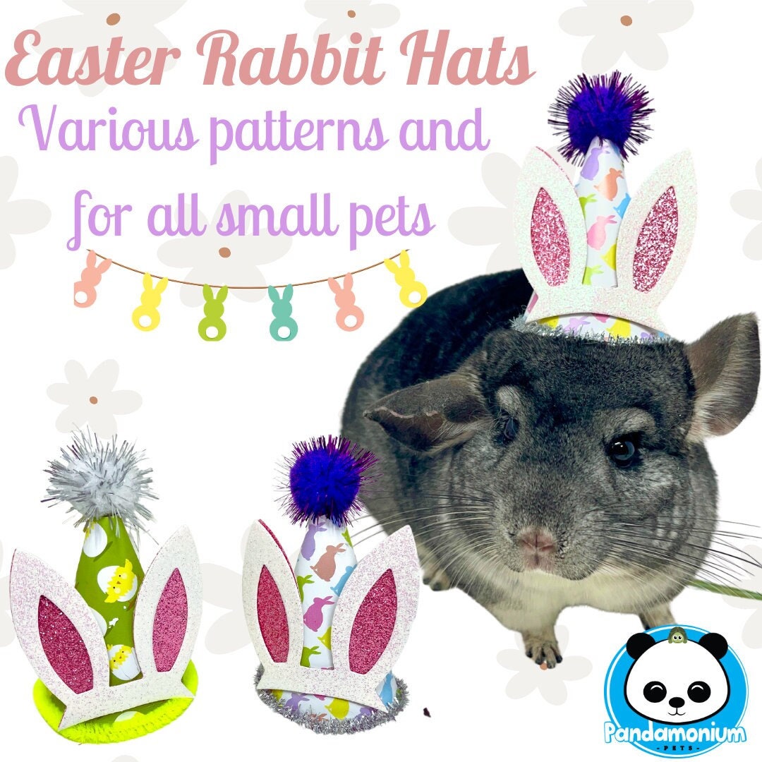 Easter Rabbit Hats-various Patterns and for All Small Pets-great for ...