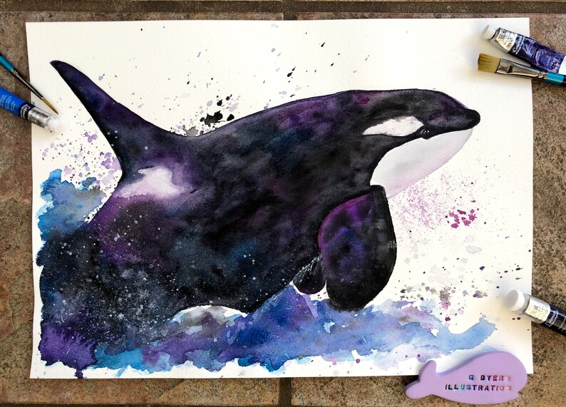 Orca pintura orca acuarela J27 Blackberry apoya el centro para la ...