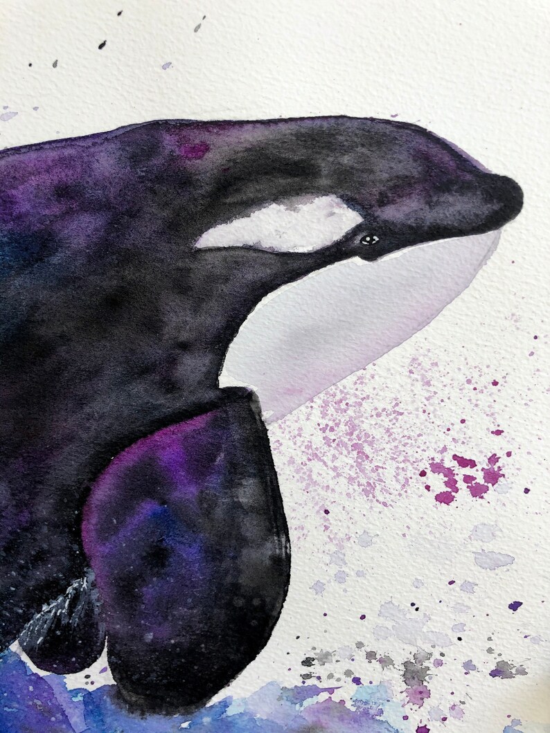 Orca pintura orca acuarela J27 Blackberry apoya el centro para la ...