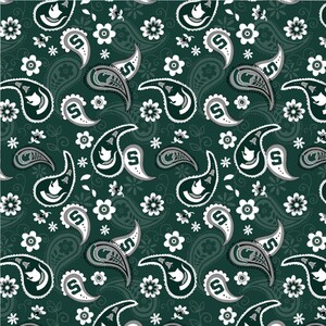 MSU Michigan State University Quilt Kit -QUICK and EASY Go Sparty! Go ...