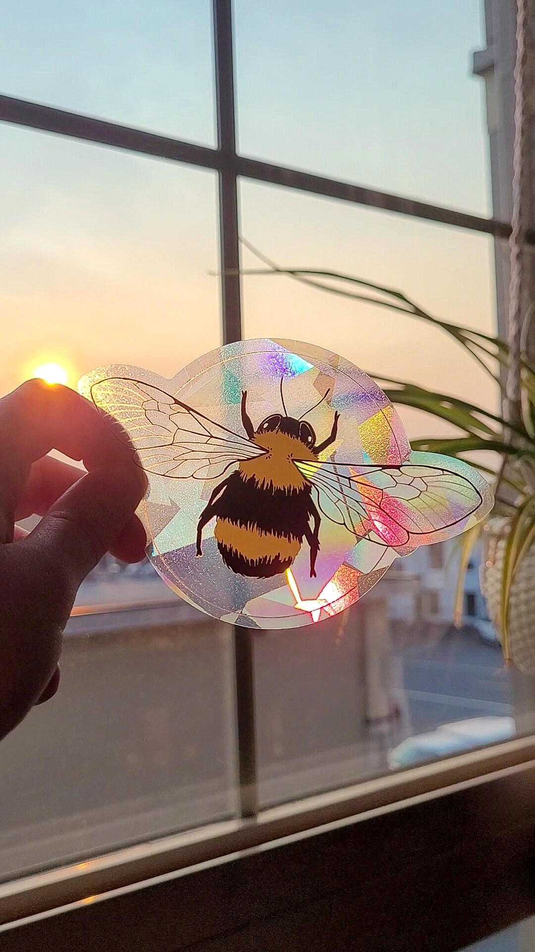 Bumble Bee Window Sun Catcher Sticker / Rainbow Maker - Etsy