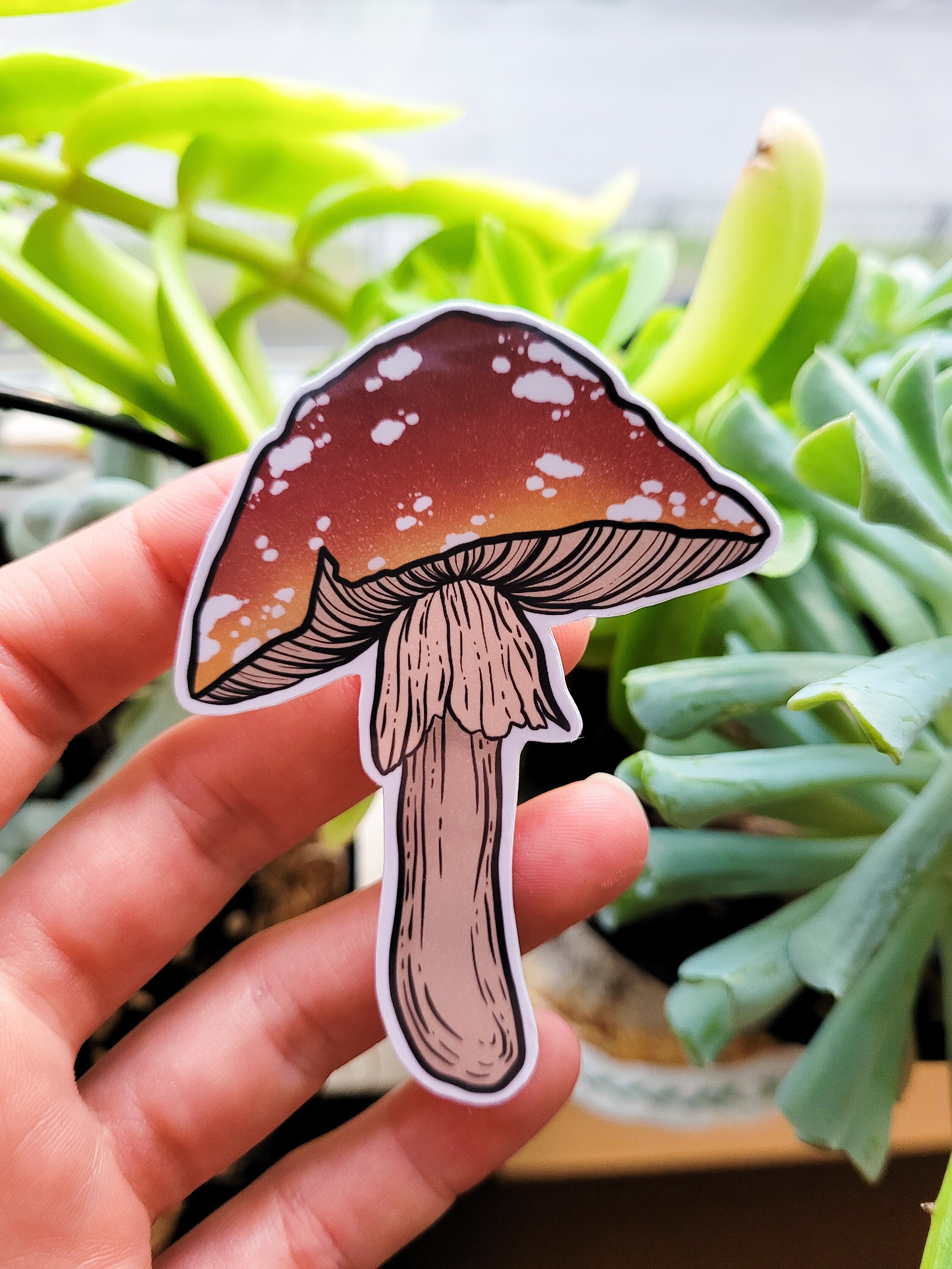 Matte Mushroom Sticker Pack - Etsy