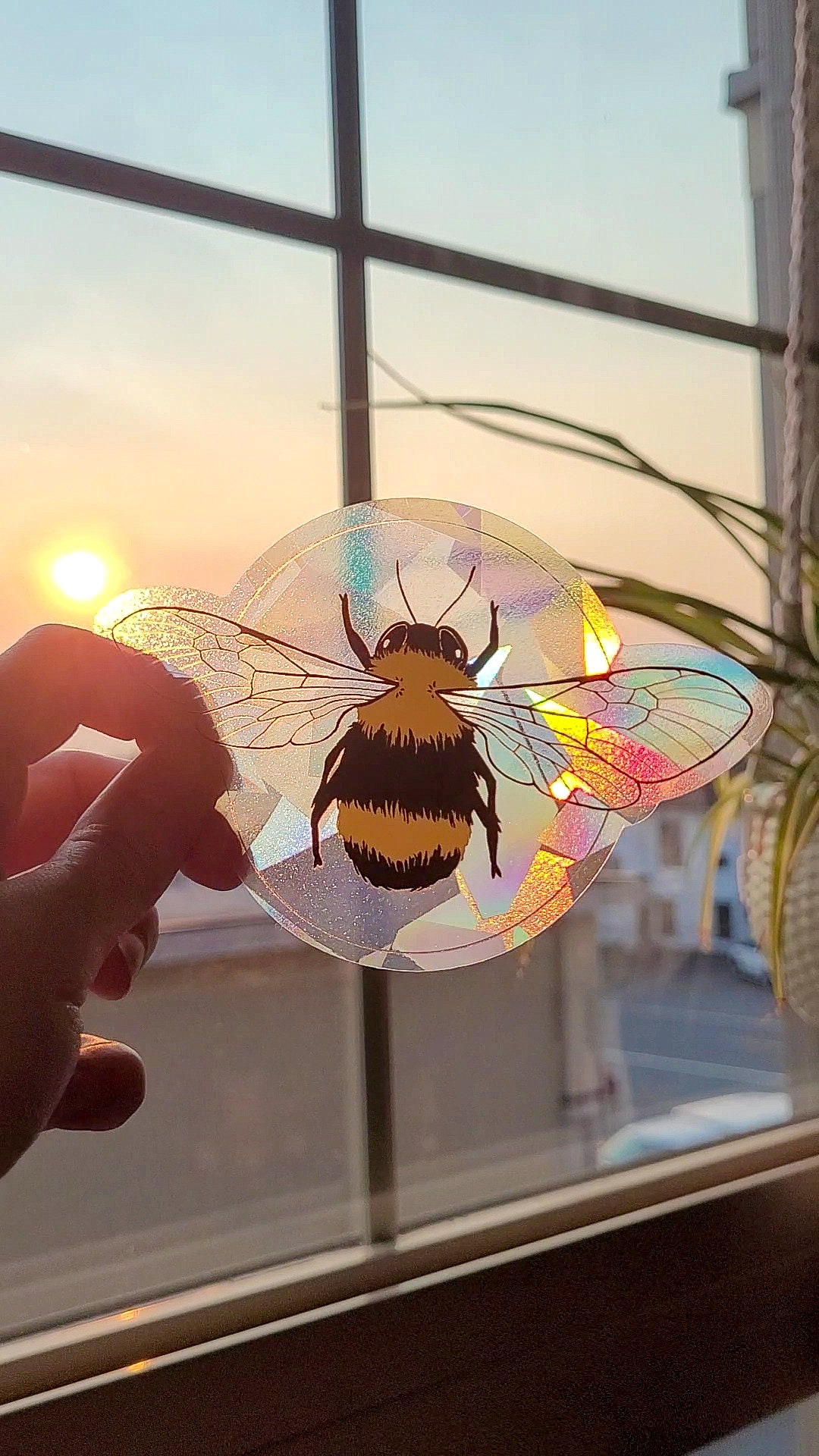 Bumble Bee Window Sun Catcher Sticker / Rainbow Maker - Etsy Canada