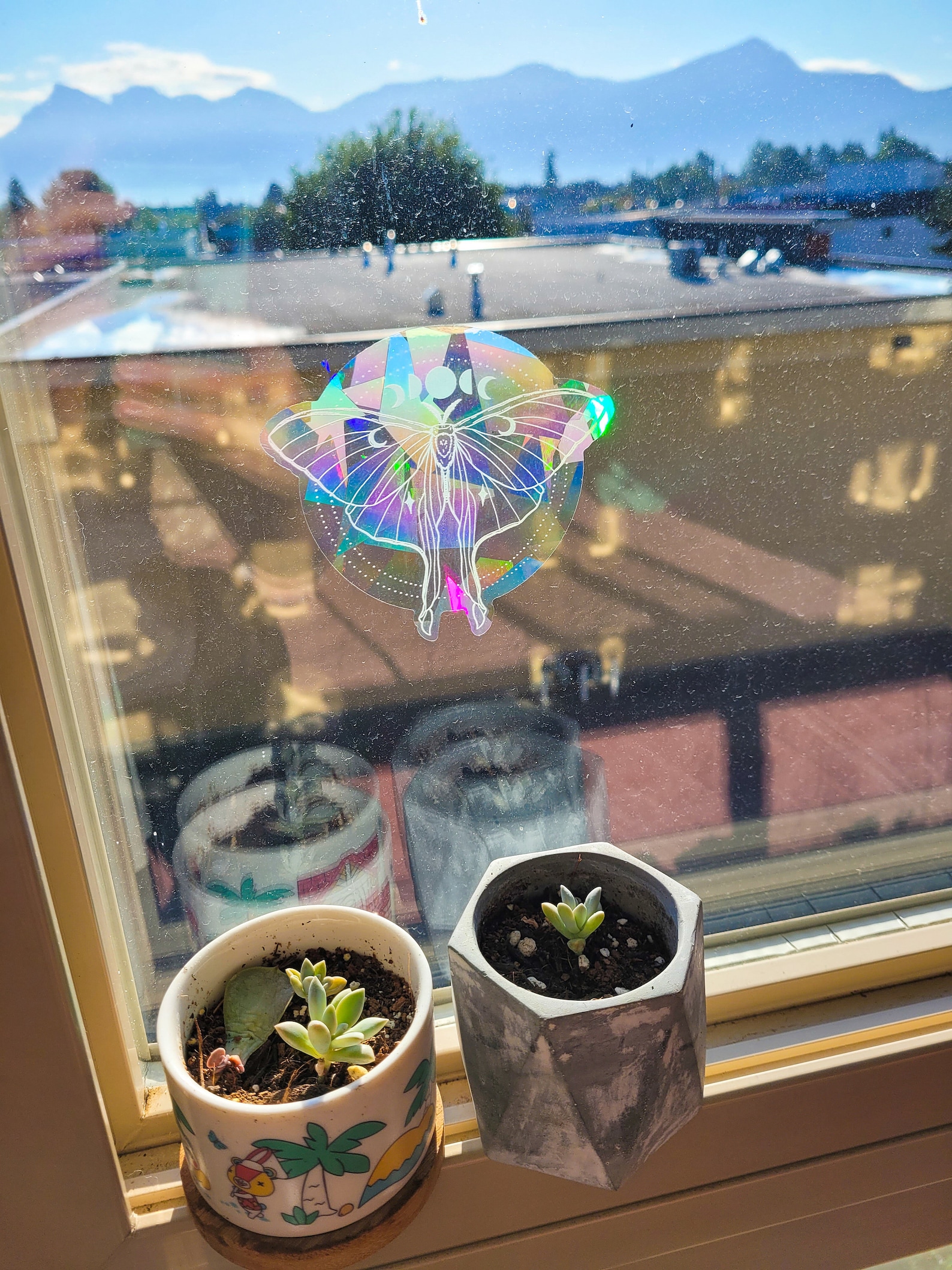 Luna Moth Celestial Window Sun Catcher Sticker / Rainbow Maker - Etsy