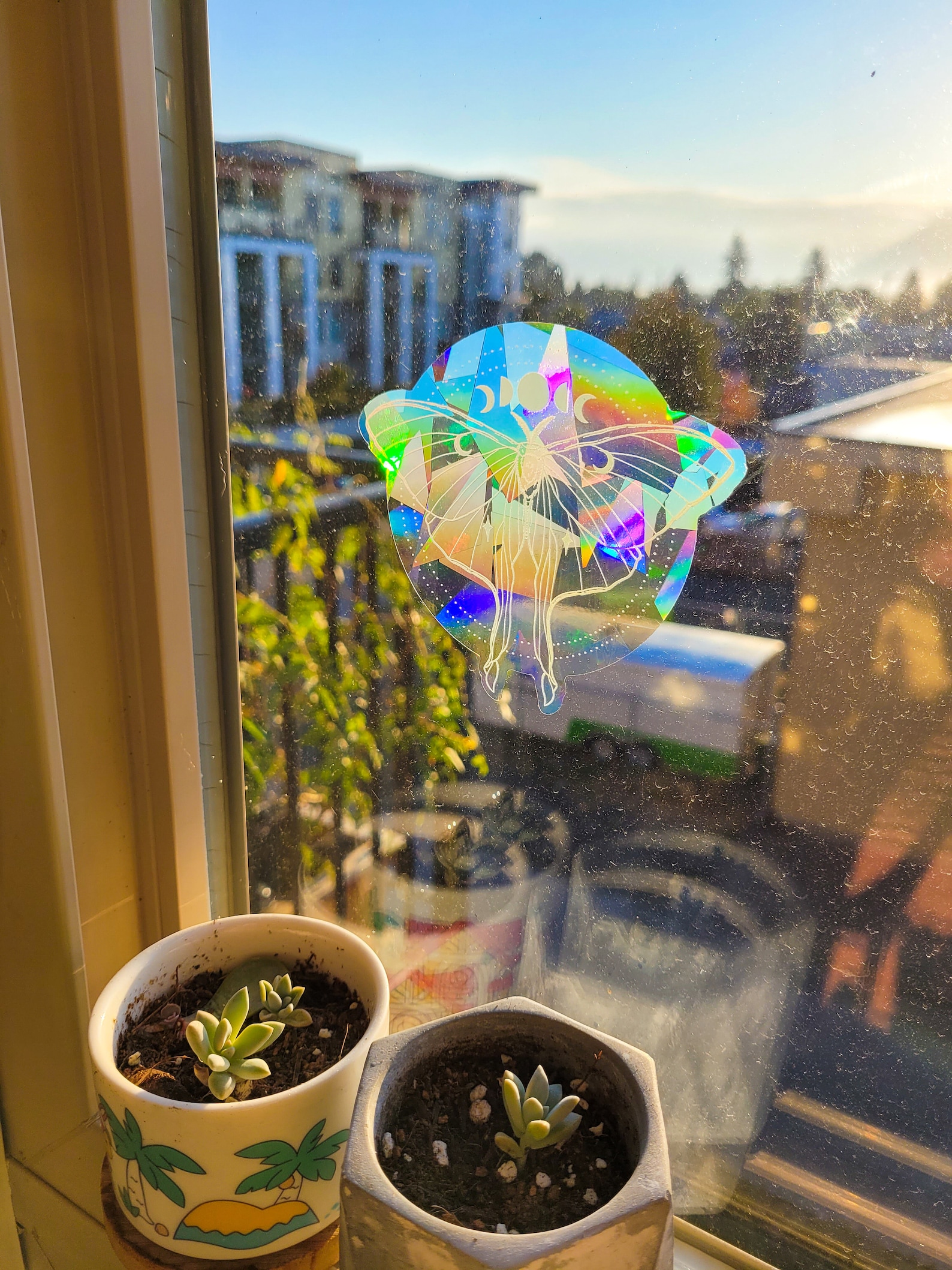 Luna Moth Celestial Window Sun Catcher Sticker / Rainbow Maker - Etsy