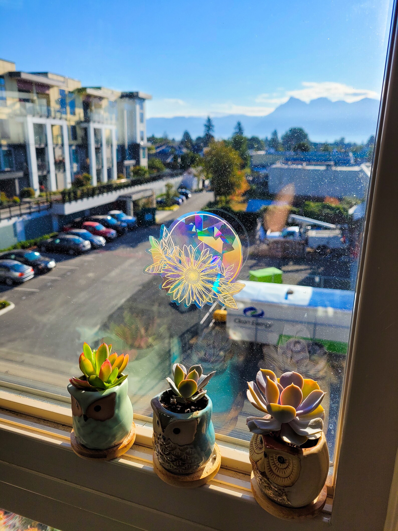 Sunflower Botanical Window Sun Catcher Sticker / Rainbow Maker - Etsy ...