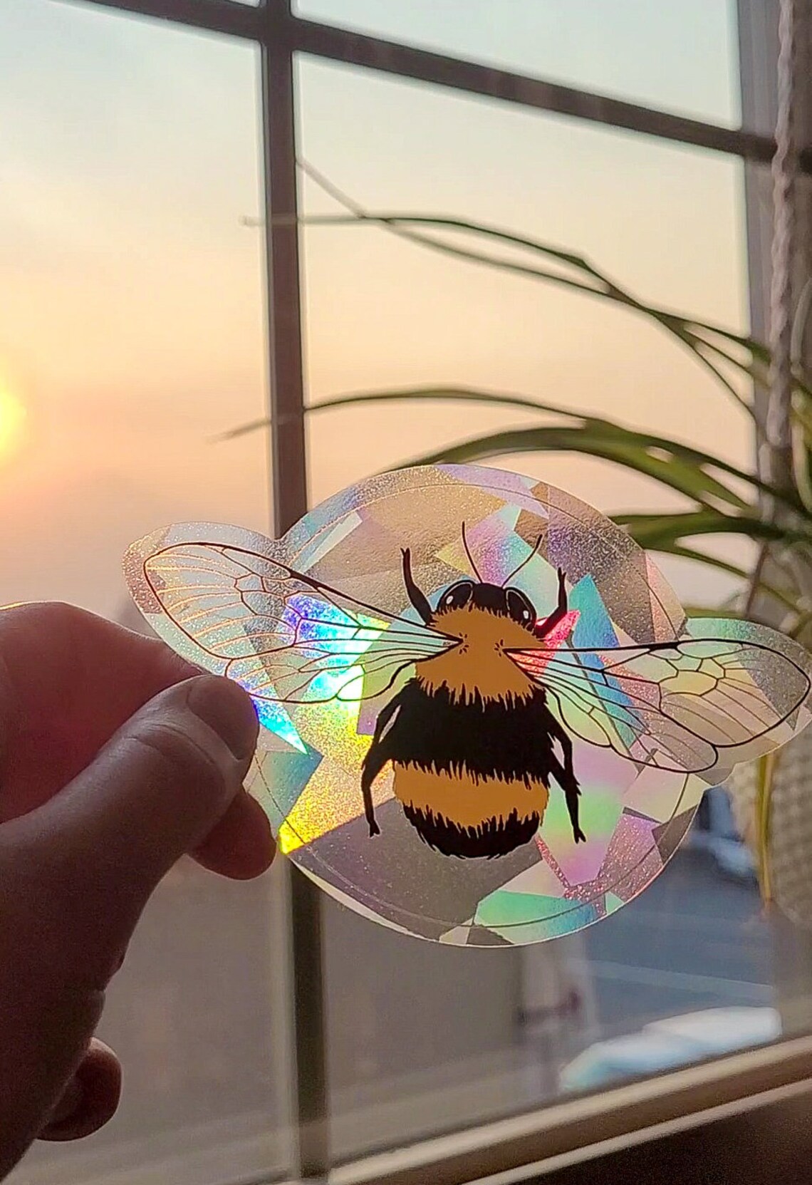 Bumble Bee Window Sun Catcher Sticker / Rainbow Maker - Etsy Canada