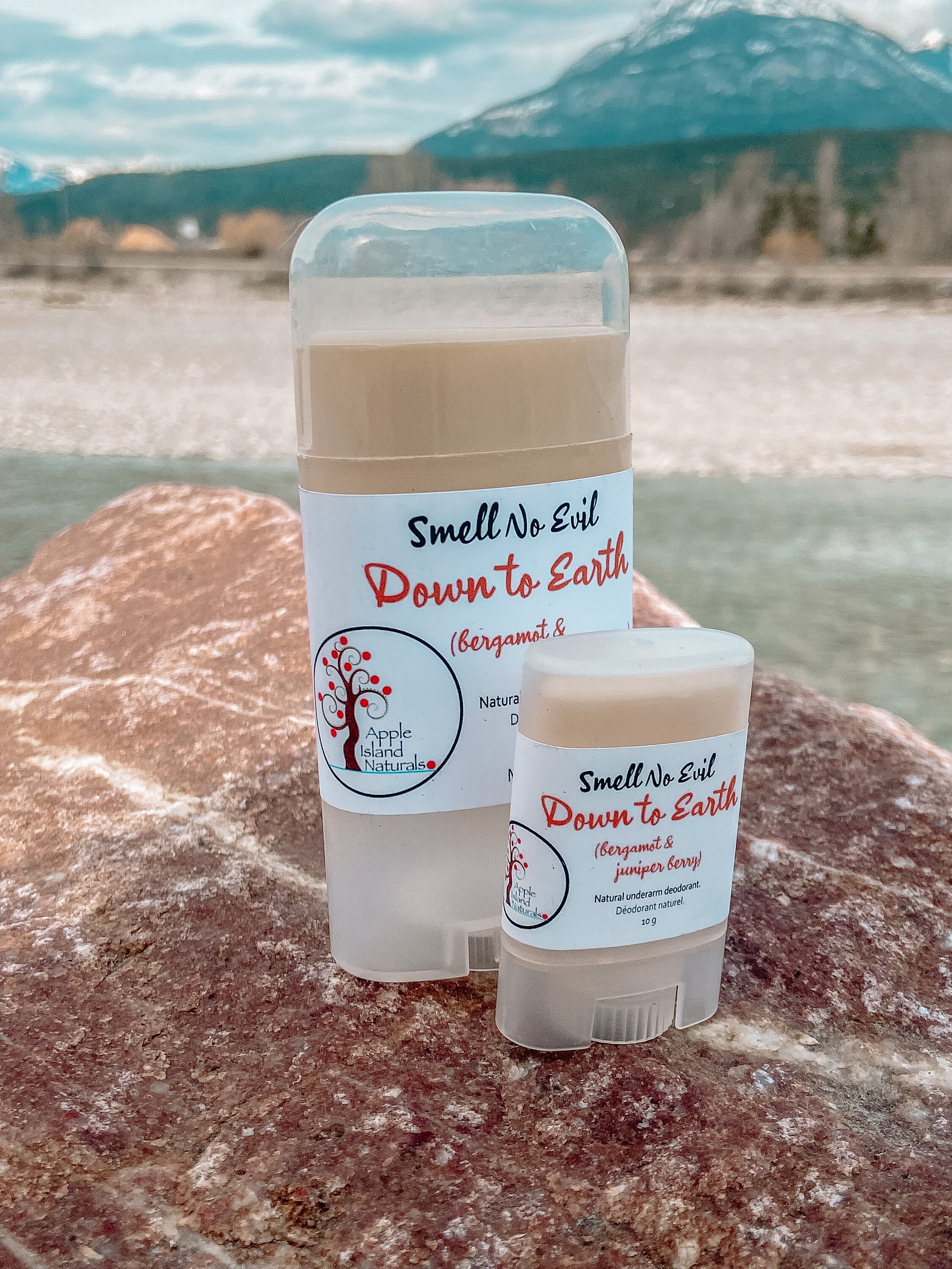Smell No Evil small 10g Natural Deodorant - Etsy