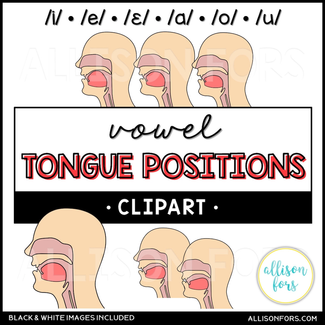 Vowel Tongue Positions Clip Art - Etsy