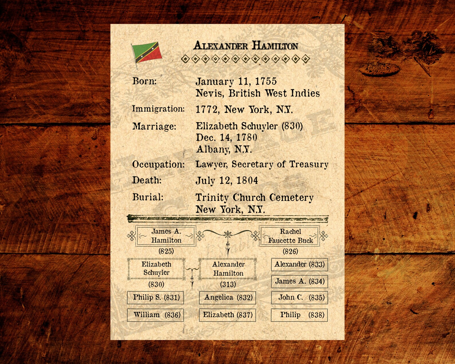 Alexander Hamilton Heritage Trading Card | 2.75" X 3.75" American ...