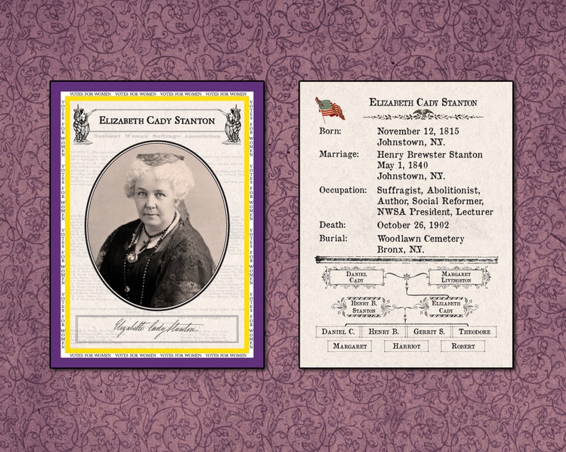 25 Suffragists Heritage Trading Cards Set: Susan B. Anthony, Ida Wells ...