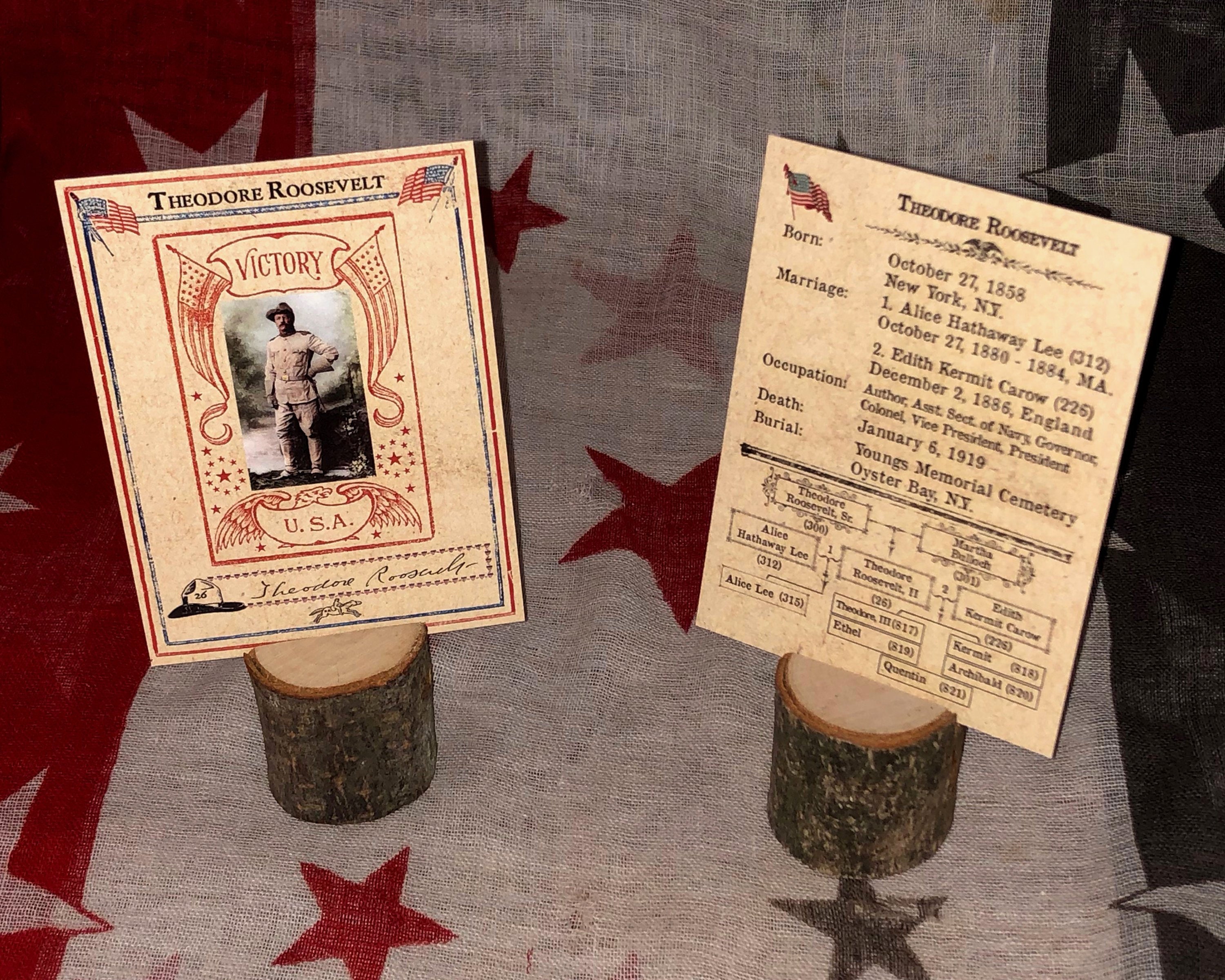 Teddy Roosevelt Heritage Trading Card 2.75"x3.75" | American Presidents ...