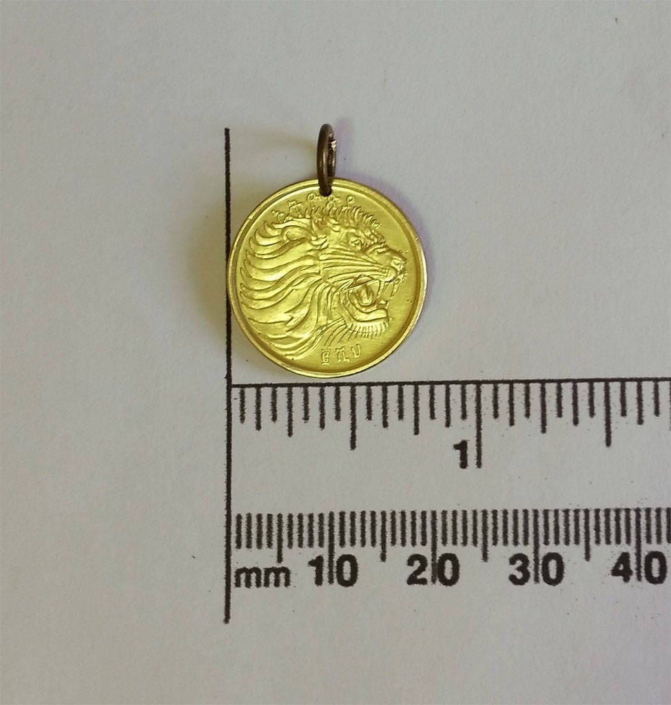 Lion Head Pendant Necklace Lion Coin African Jewelry - Etsy
