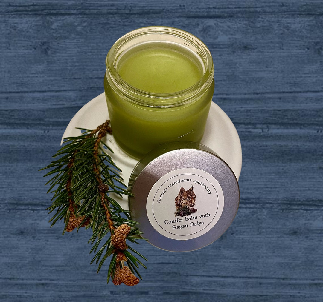 CONIFER BALM Siberian Cedar Sap and Oil Pinyon Sap Sagan - Etsy