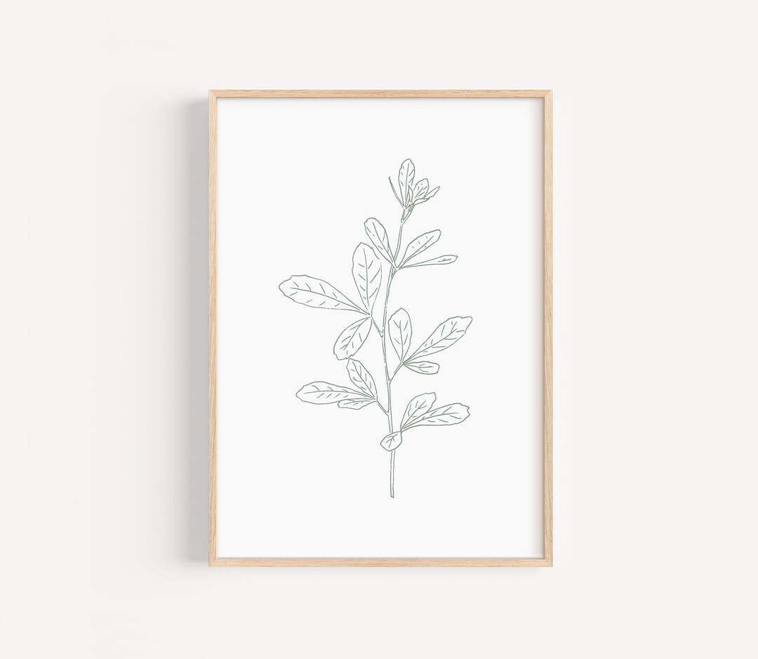 Modern Farmhouse Botanical Line Art, Minimalist Leaf Sketch Printable ...