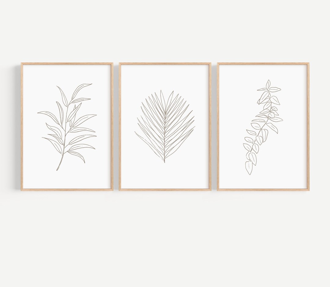 Set of 3 Plant Line Drawings Downloadable Botanical Line Art - Etsy
