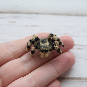 Spotted Jumping Spider Plush Figurine Dollhouse Ornament Micro Spider ...