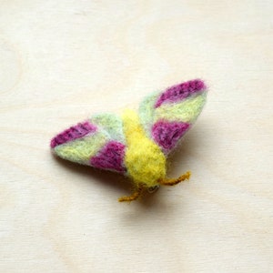 Rosy Maple Moth Brooch Felted Moth Pin Needle Felted Wildlife Pin ...