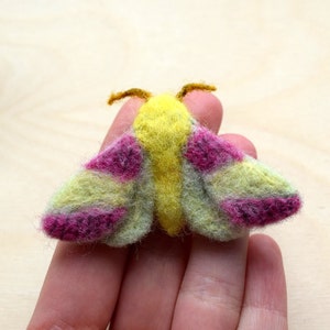 Rosy Maple Moth Brooch Felted Moth Pin Needle Felted Wildlife Pin ...