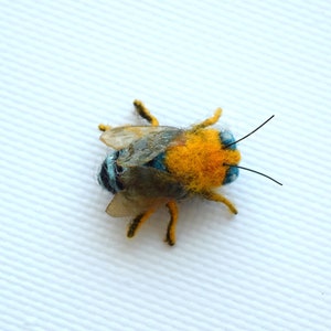 Blue Banded Bee Brooch Bee Ornament Wildlife Gift Bee Pin Insect Brooch ...