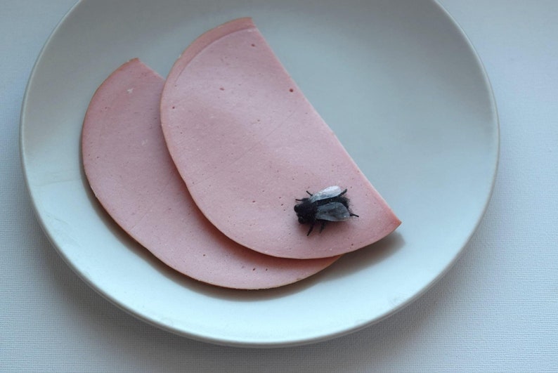 Realistic Fly Gardener Gift Bug Brooch Cute Gift Jewelry - Etsy