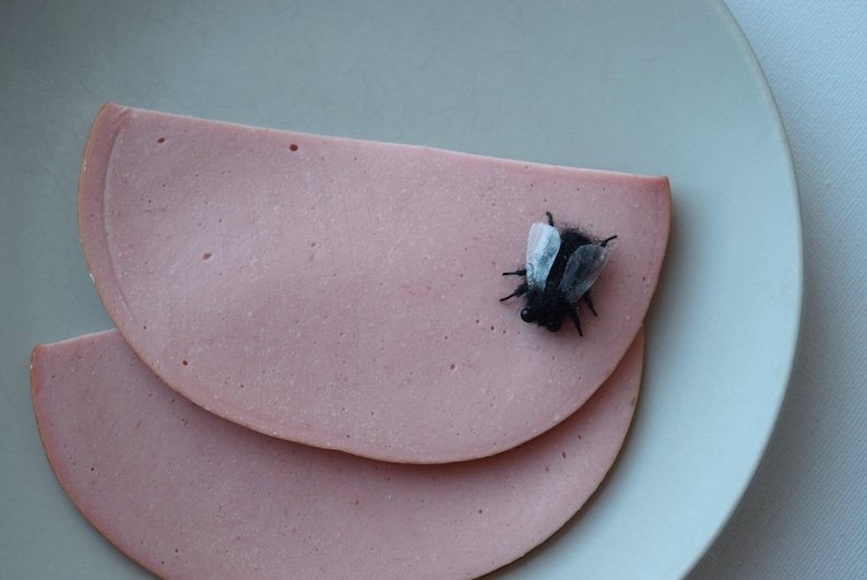 Realistic Fly Gardener Gift Bug Brooch Cute Gift Jewelry - Etsy