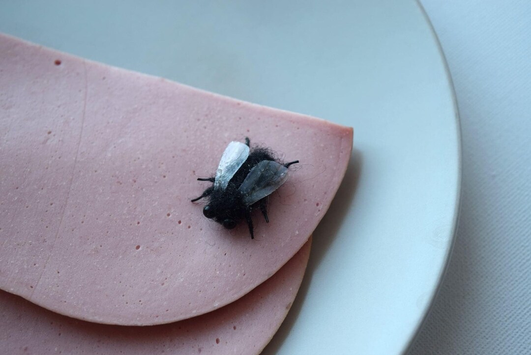 Realistic Fly Gardener Gift Bug Brooch Cute Gift Jewelry - Etsy