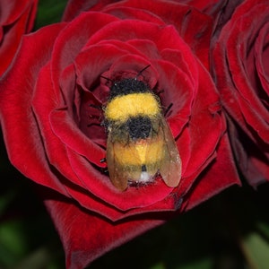 Photography Prop Realistic Bumblebee Felted Bee Product Photo Prop ...