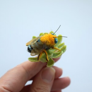 Blue Banded Bee Brooch Bee Ornament Wildlife Gift Bee Pin Insect Brooch ...