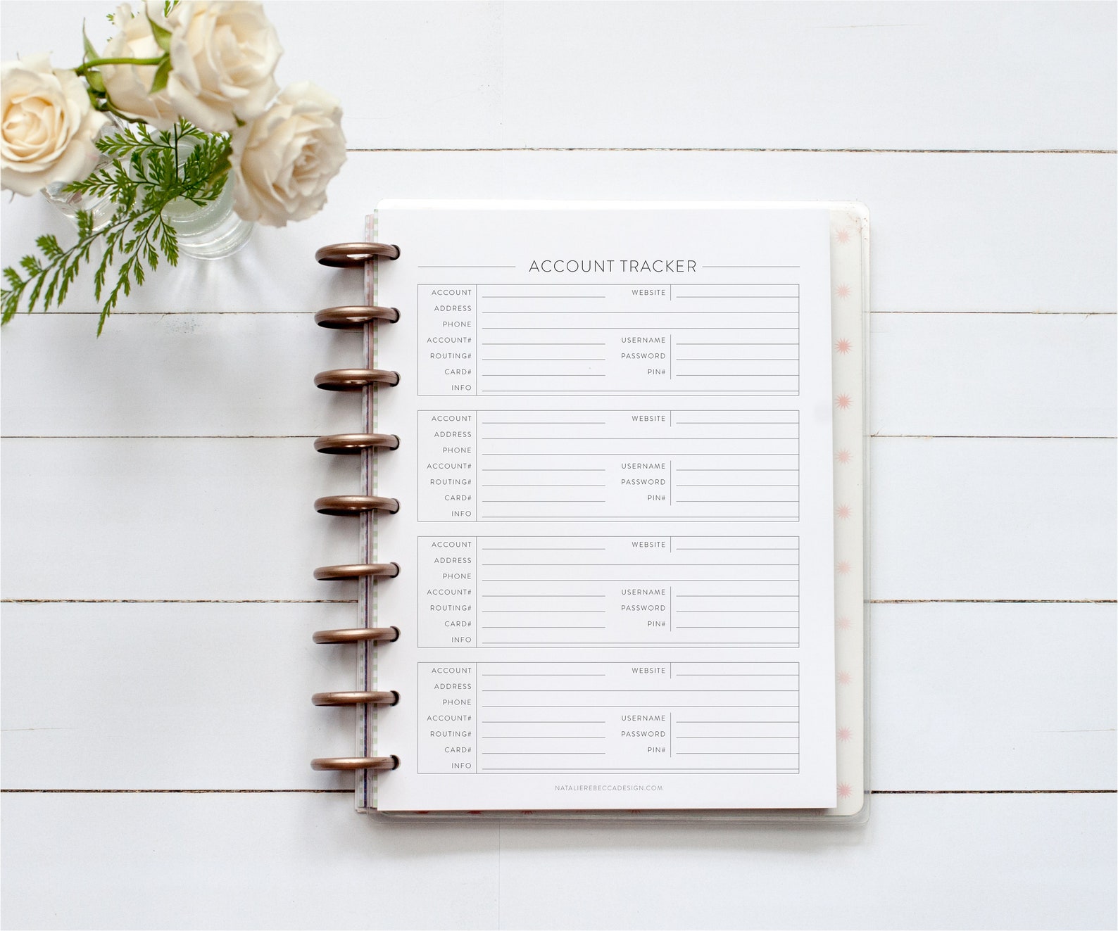 FINANCE Discbound Printed Budget Inserts, Happy Planner Finance Kit ...