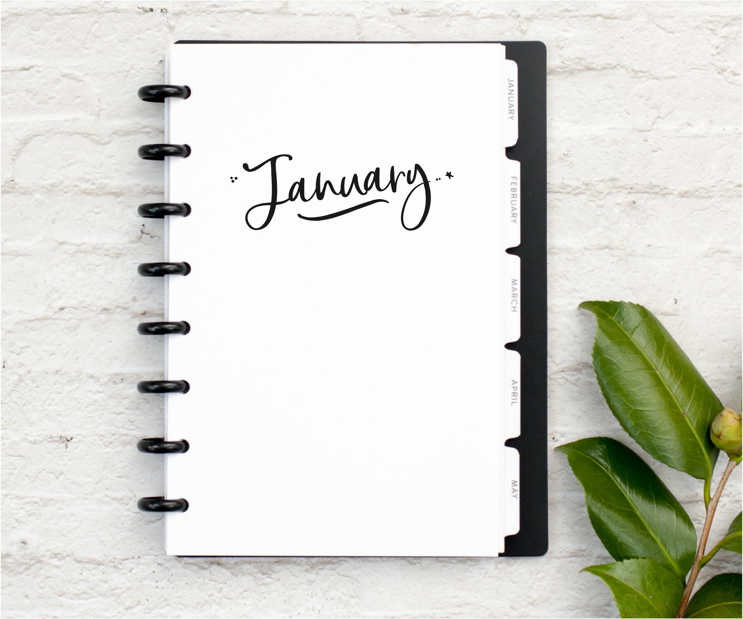 MONTHLY Calendar With DIVIDERS for Discbound Planners, WHIMSY Font ...