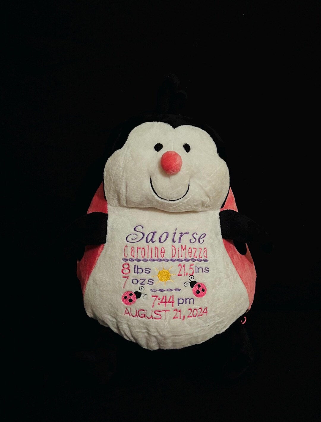 Subway Birth Announcement Stuffed Ladybug - Etsy