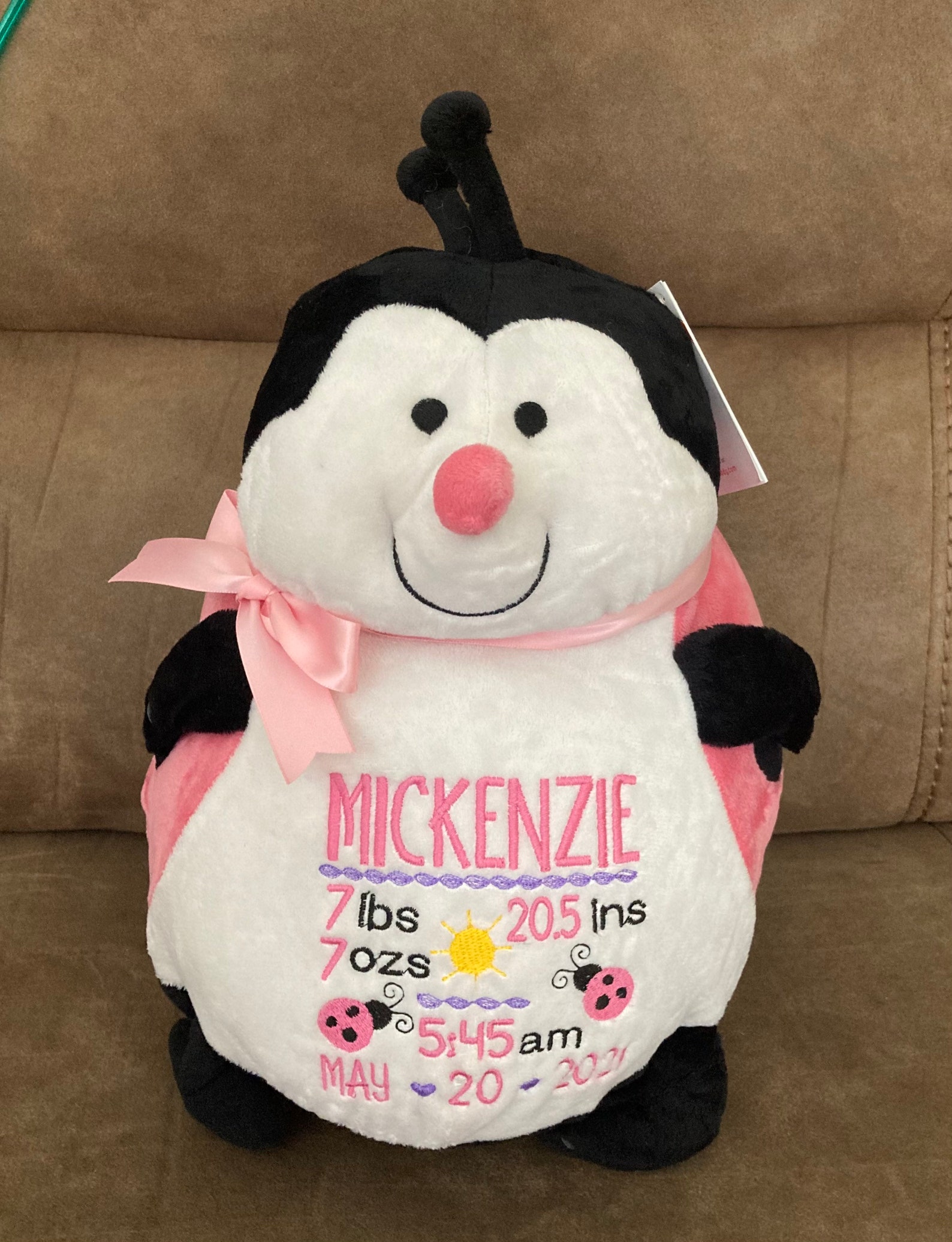 Personalized Stuffed Ladybug - Etsy