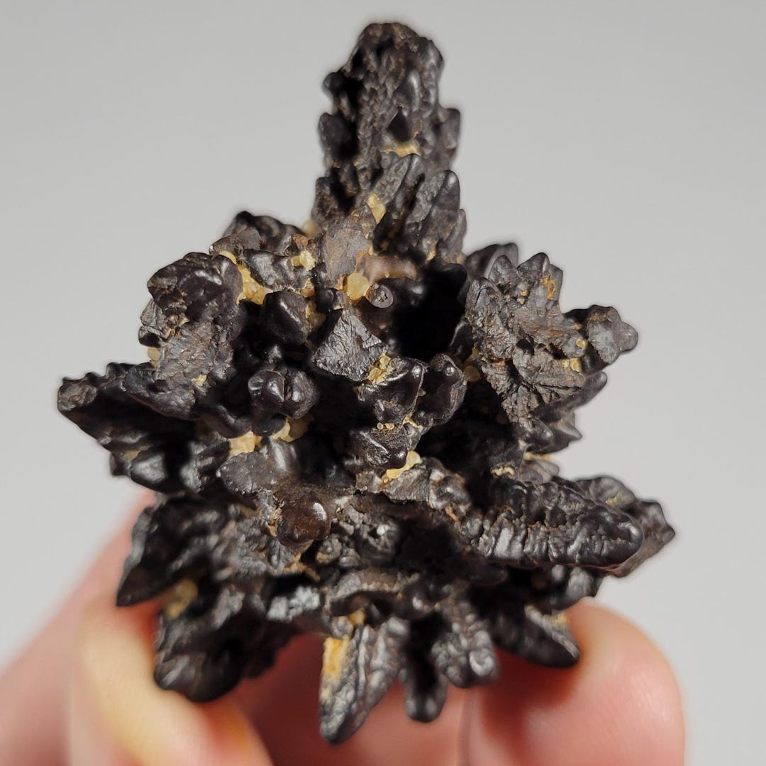 1.8" Prophecy Stone Pseudomorph From the White Desert in Egypt 35.18g ...